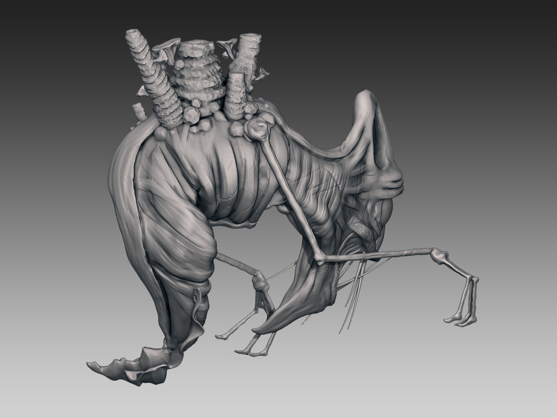 Albert FAURY - Soldeen, the tears lake's guardian