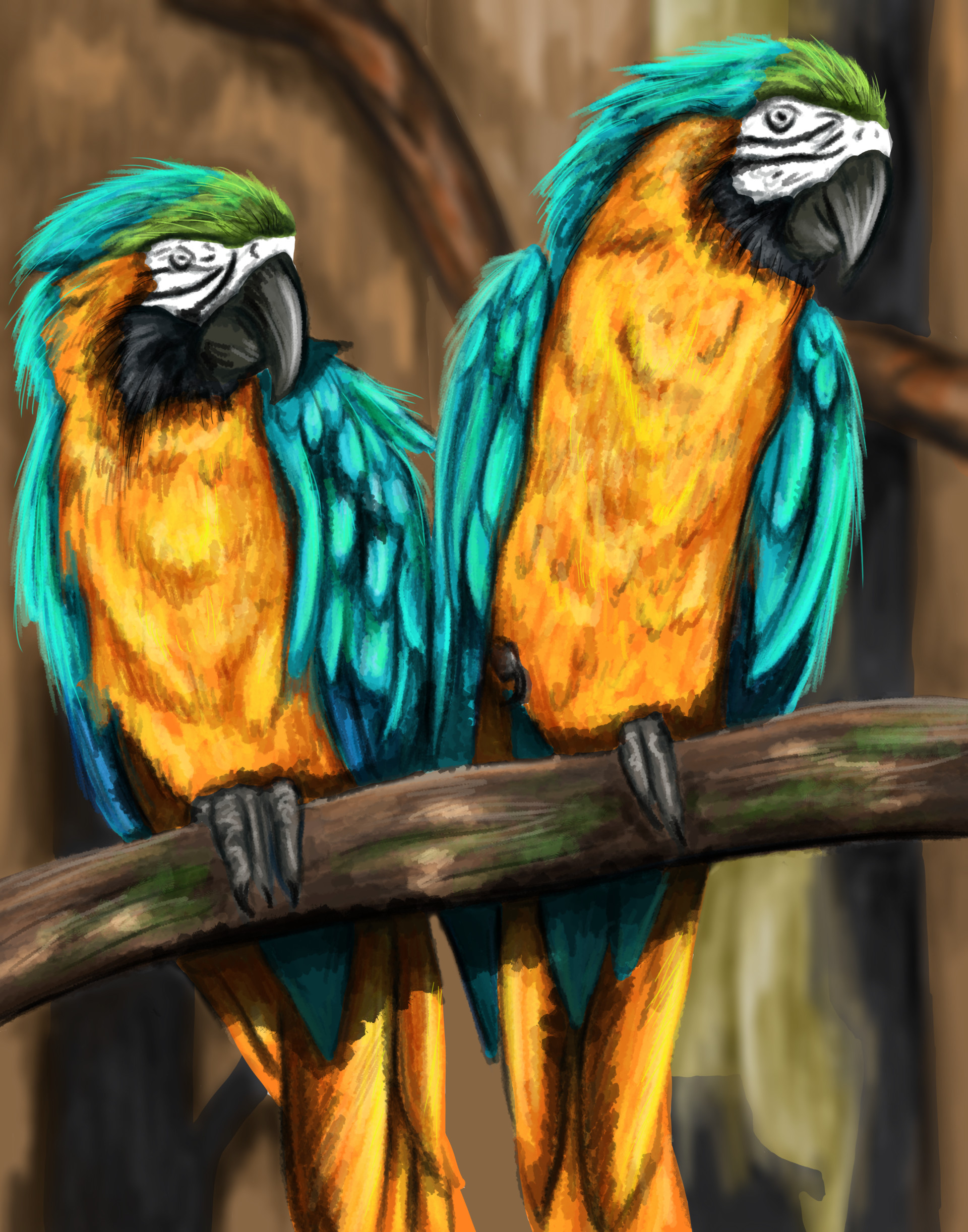 ArtStation - Parrot Study