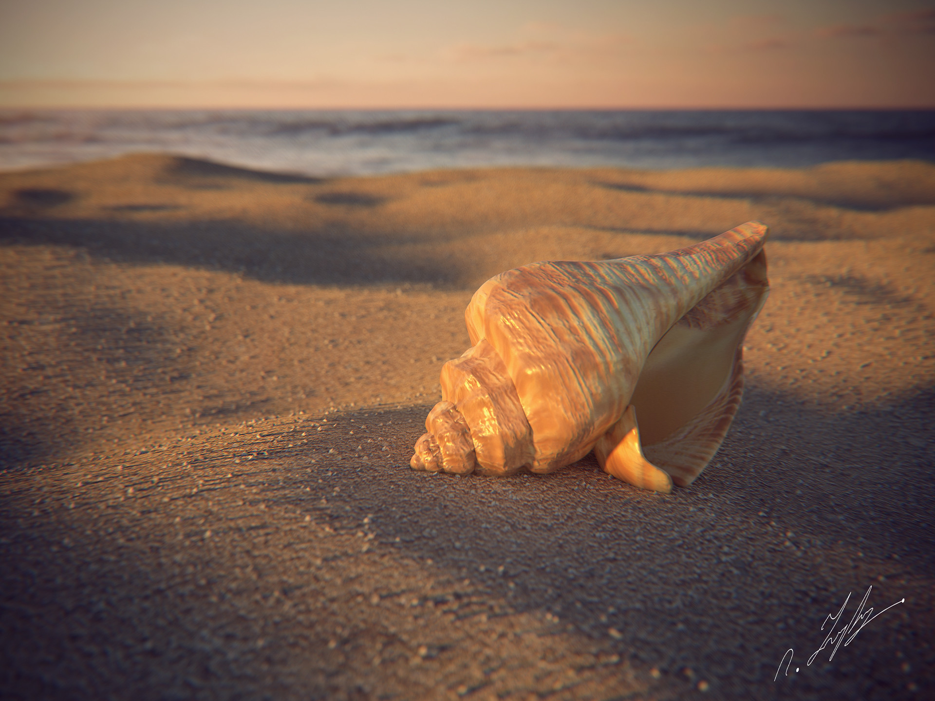 ArtStation - seashell, irakli shubashikeli
