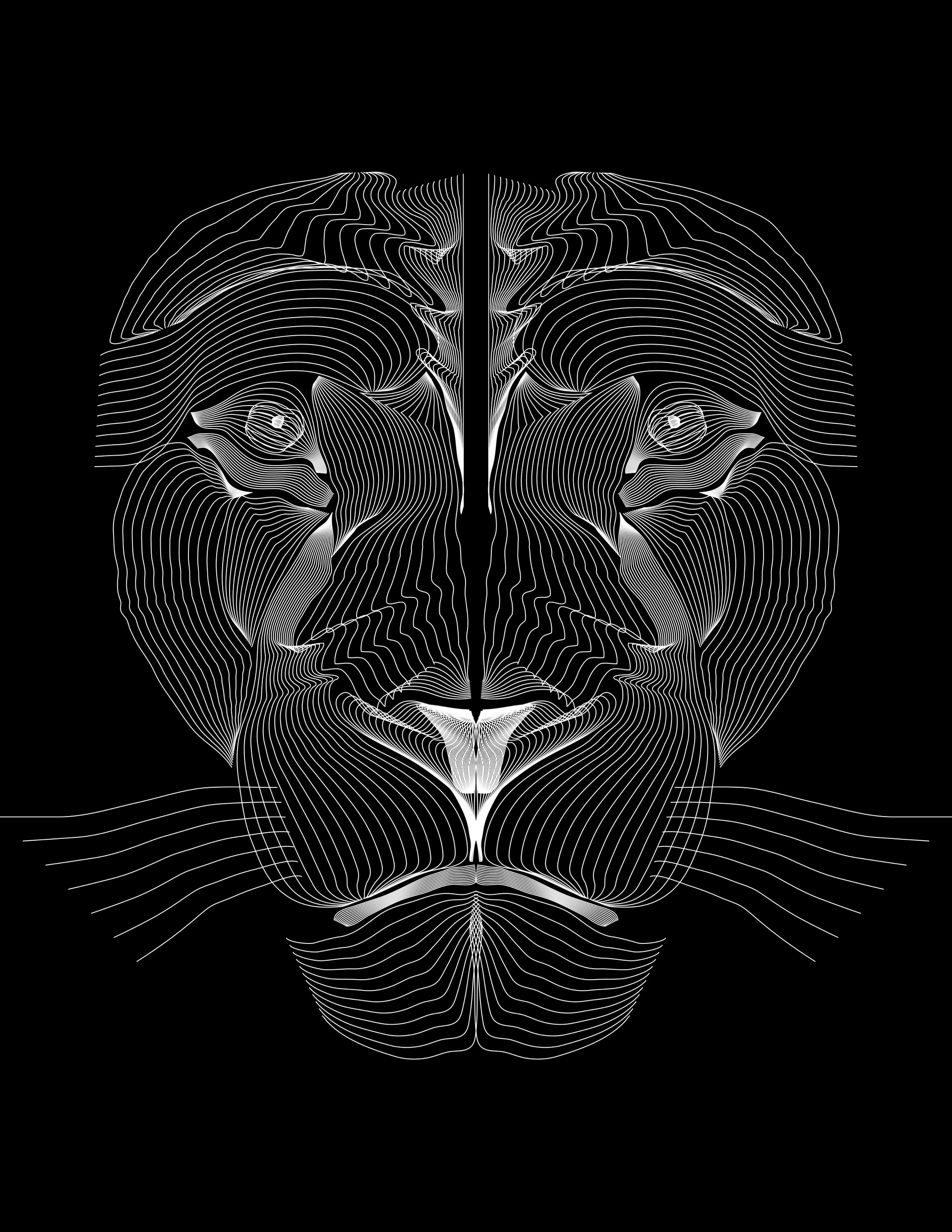 ArtStation - Lion Lines
