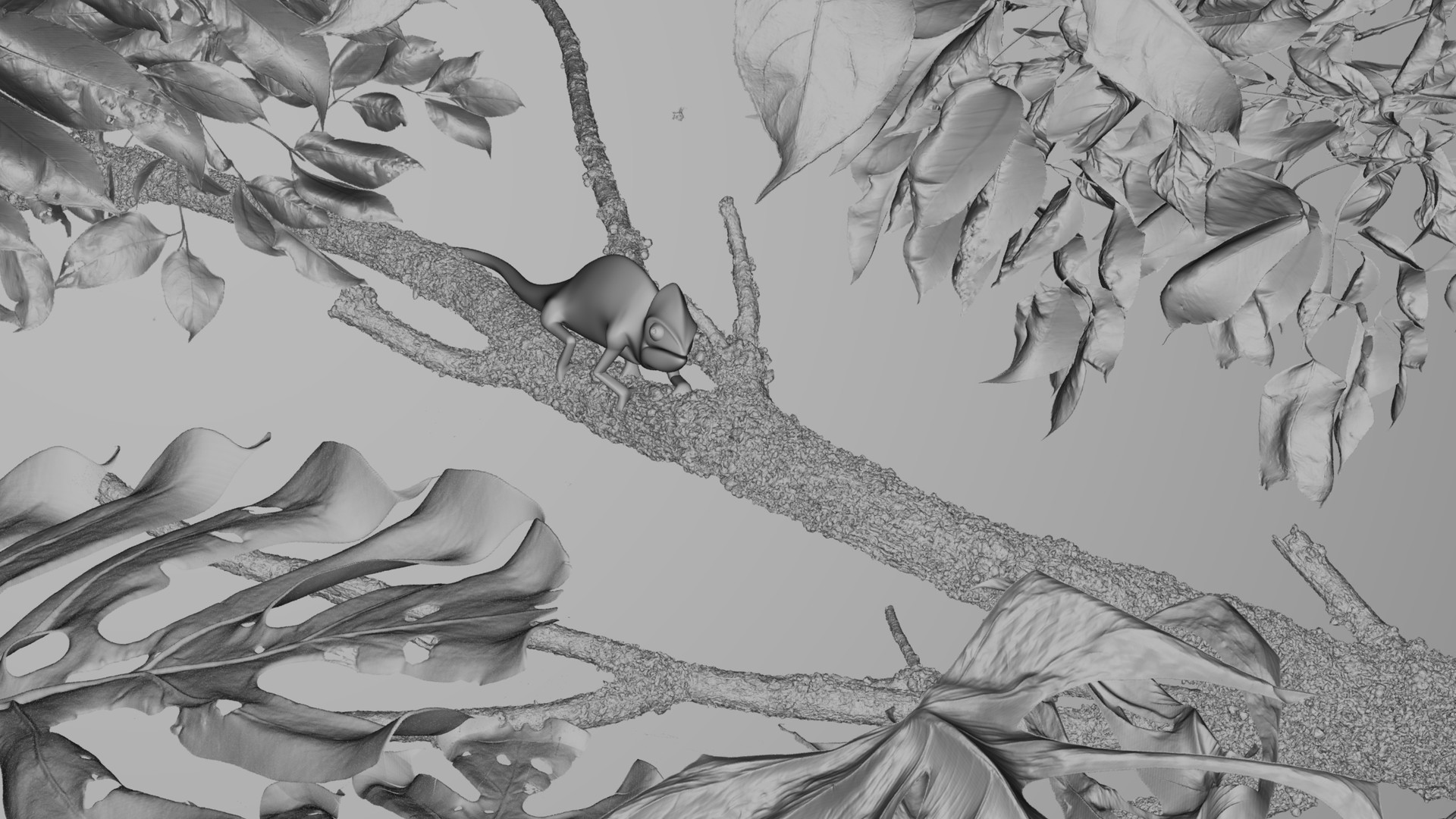 Tim Kaminski - Madagaskar