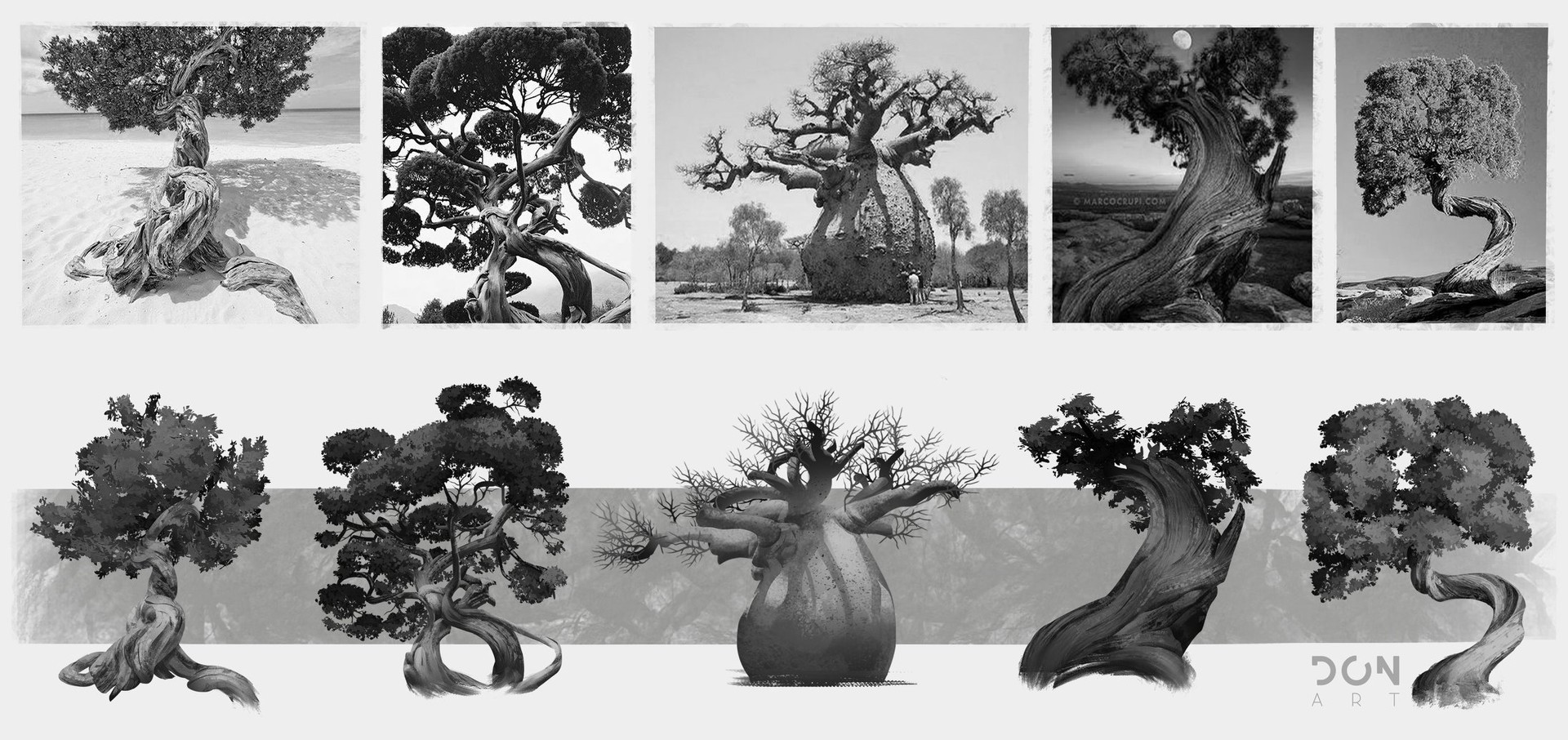 ArtStation - Tree Studies