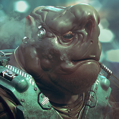 Tor Frick - Portfolio