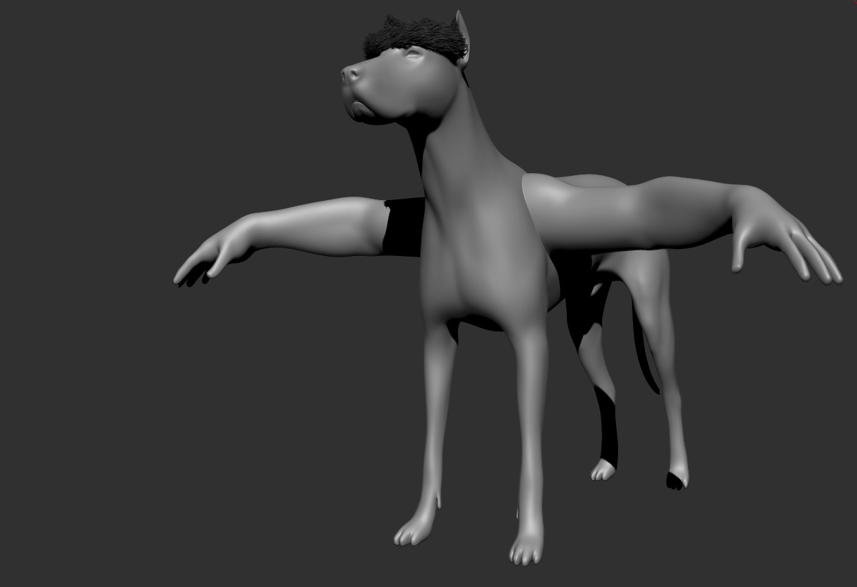 ArtStation - dolph the rugged dog
