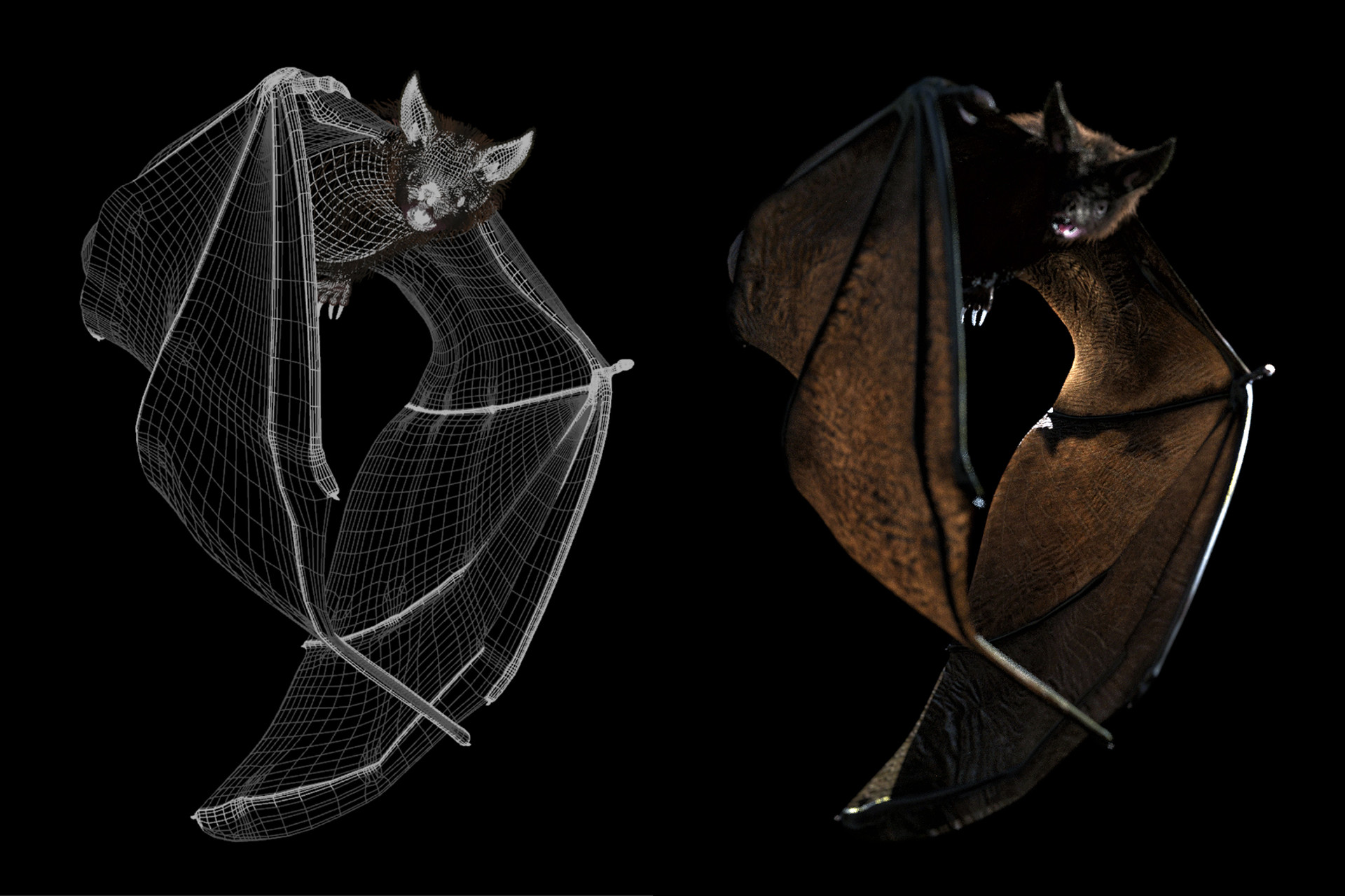 ArtStation - WIP: vampire bat