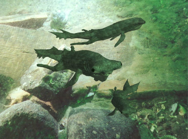 ArtStation - Legged Dogfish