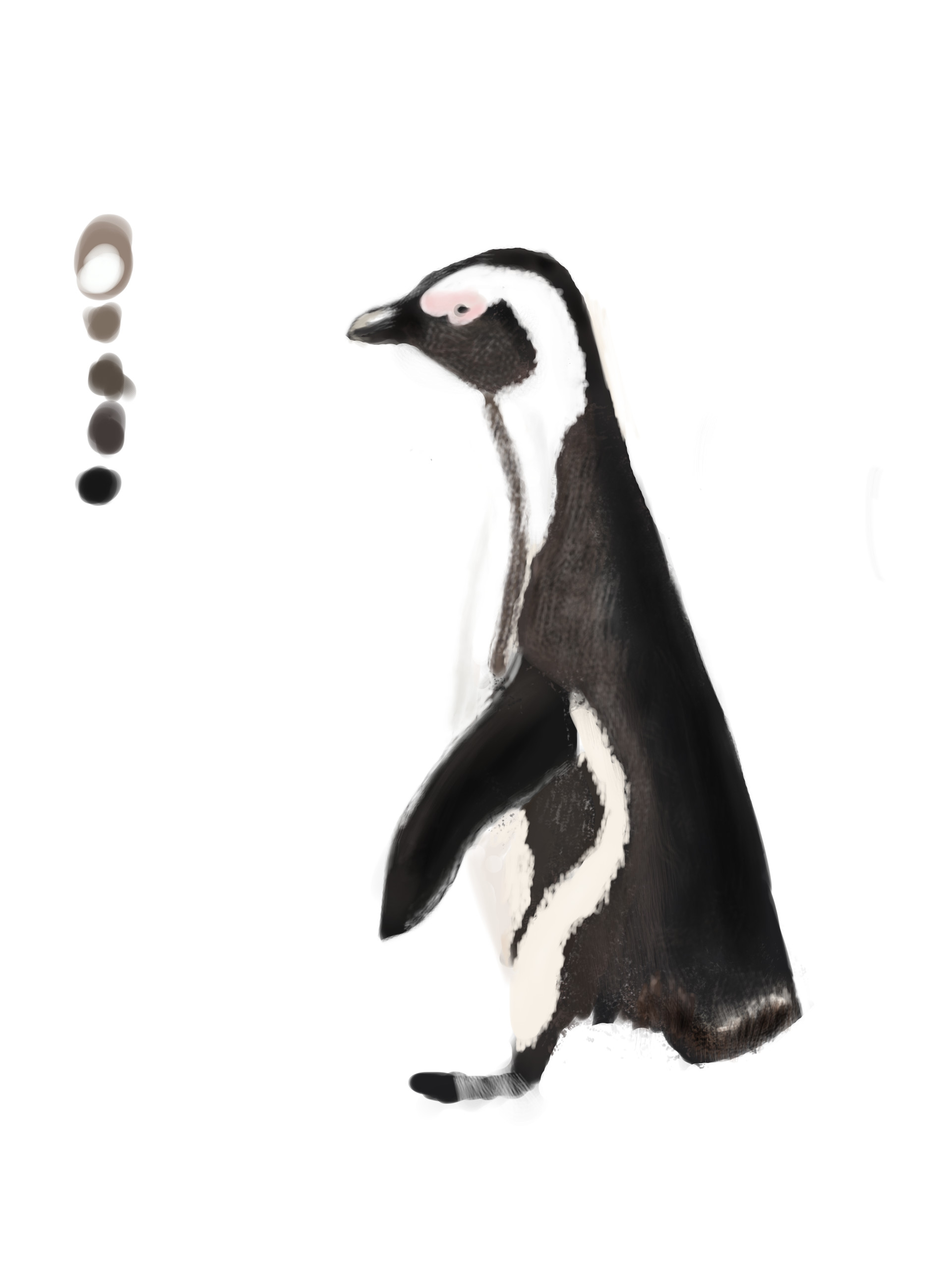 ArtStation - Penguin Study
