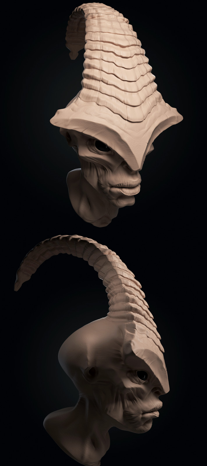 Andrew Ferrer - Horn head