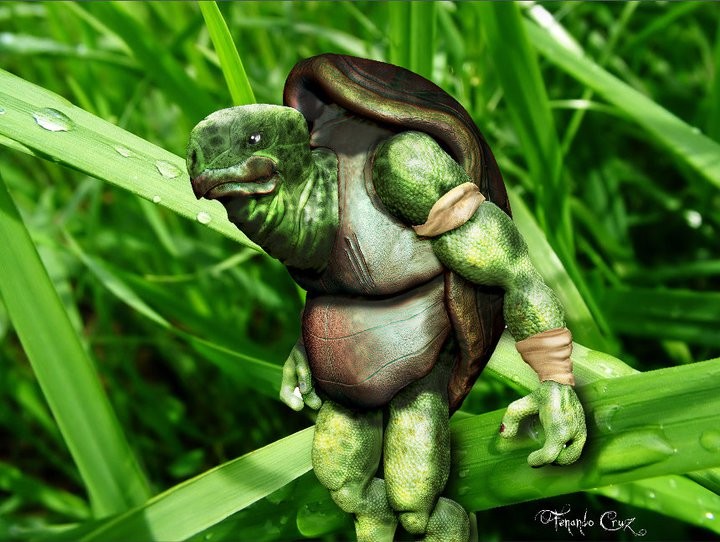 ArtStation - Old Turtle