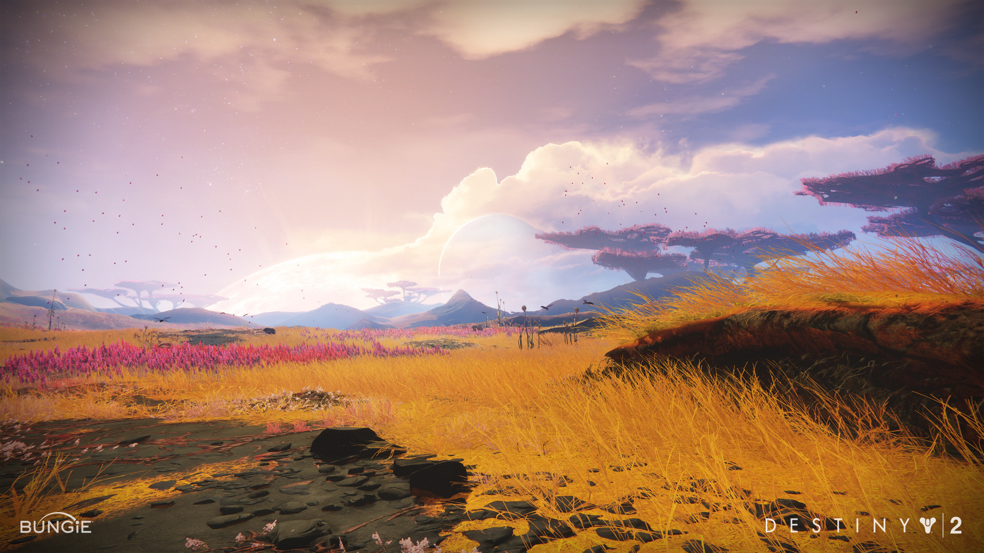 Steven Klipowicz - Destiny 2 Mercury Past Landscape