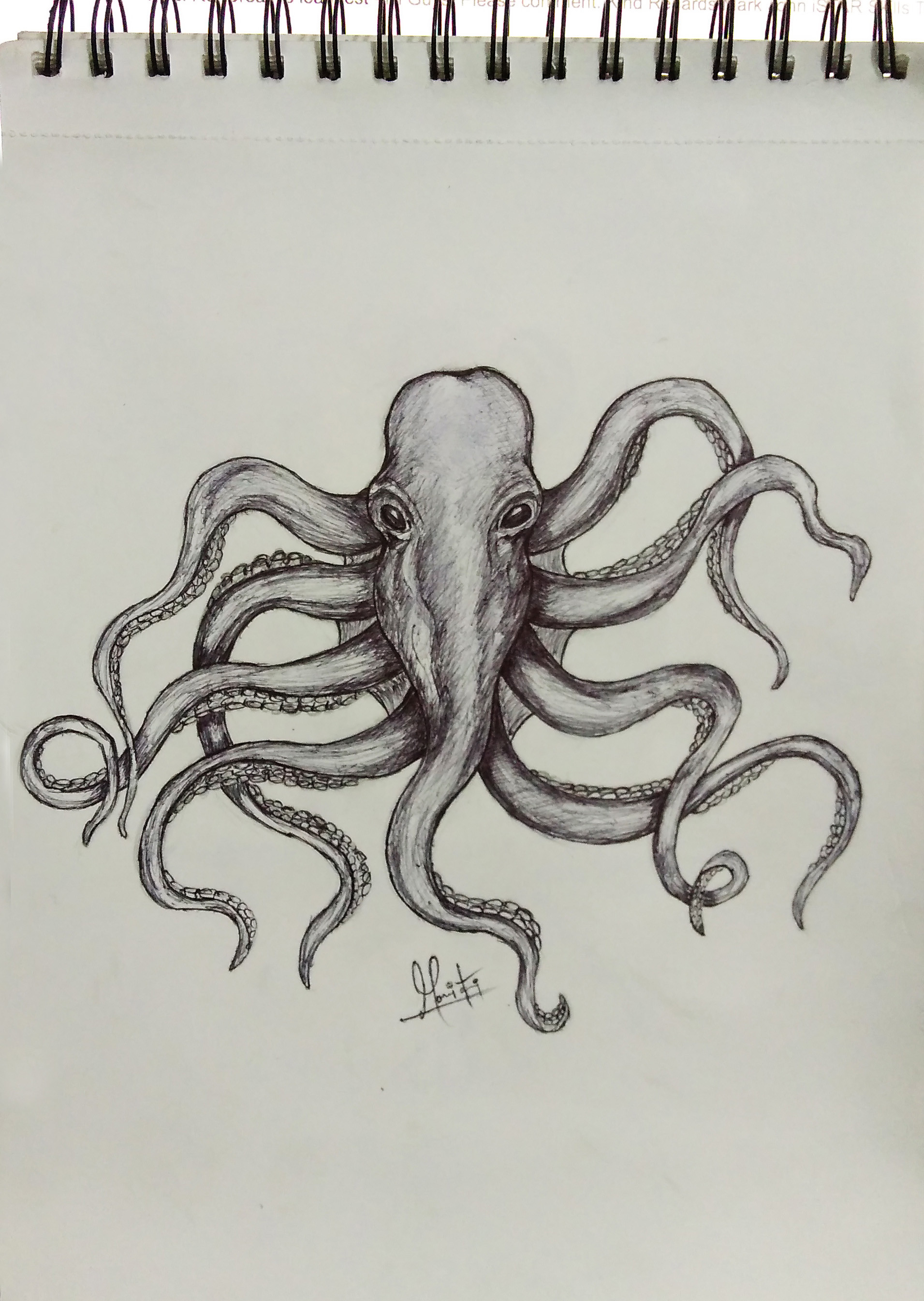ArtStation - Inktober ink sketch - Octopus