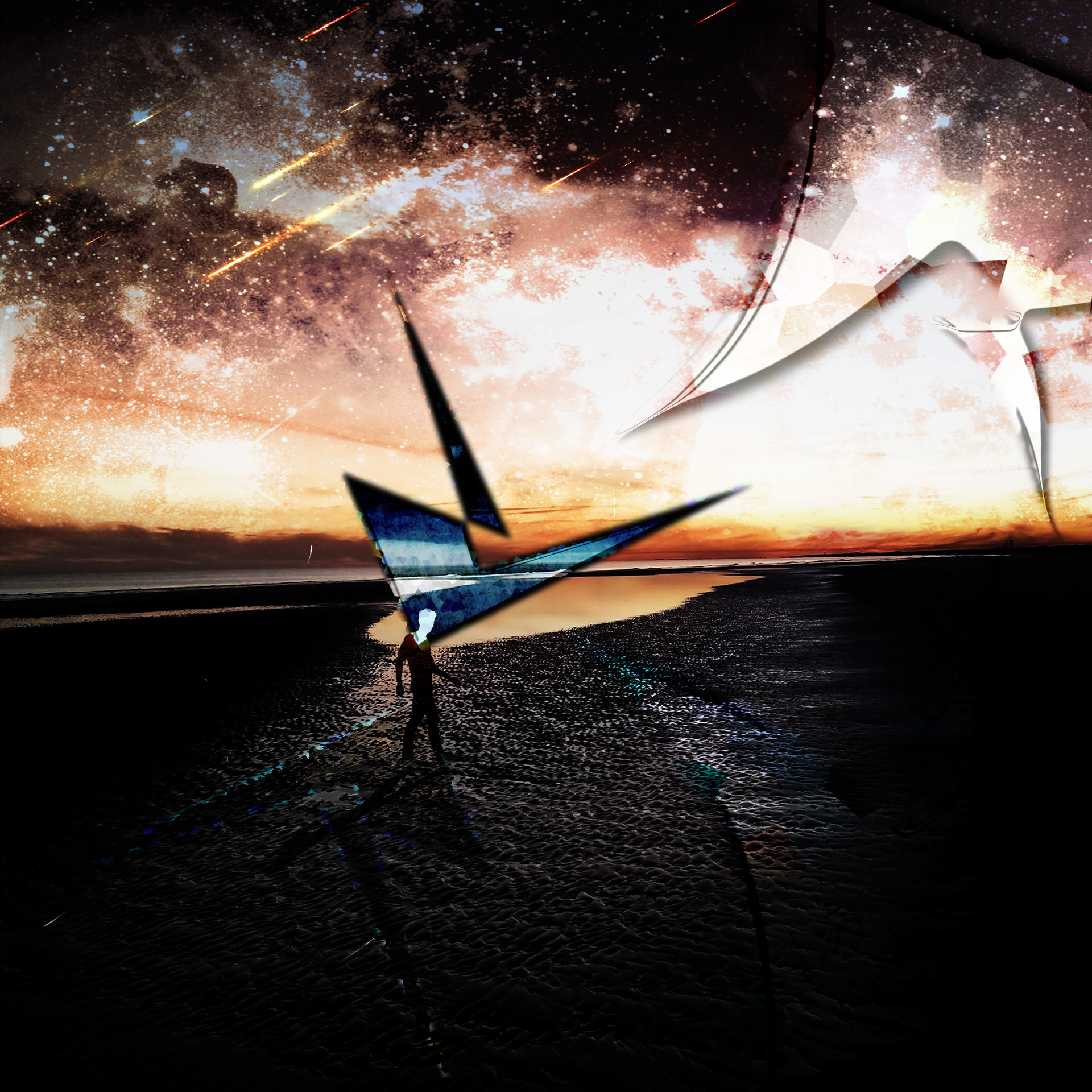 Ryan Hartshorn - Walks on the Beach