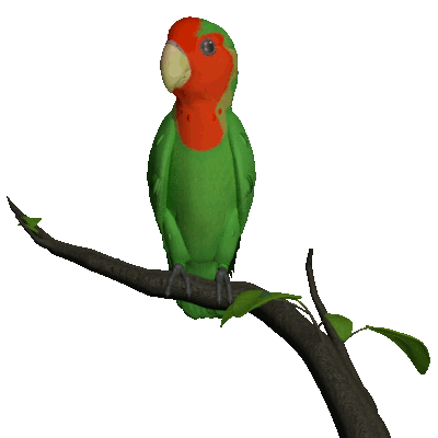 Birds 3d Animation Gif