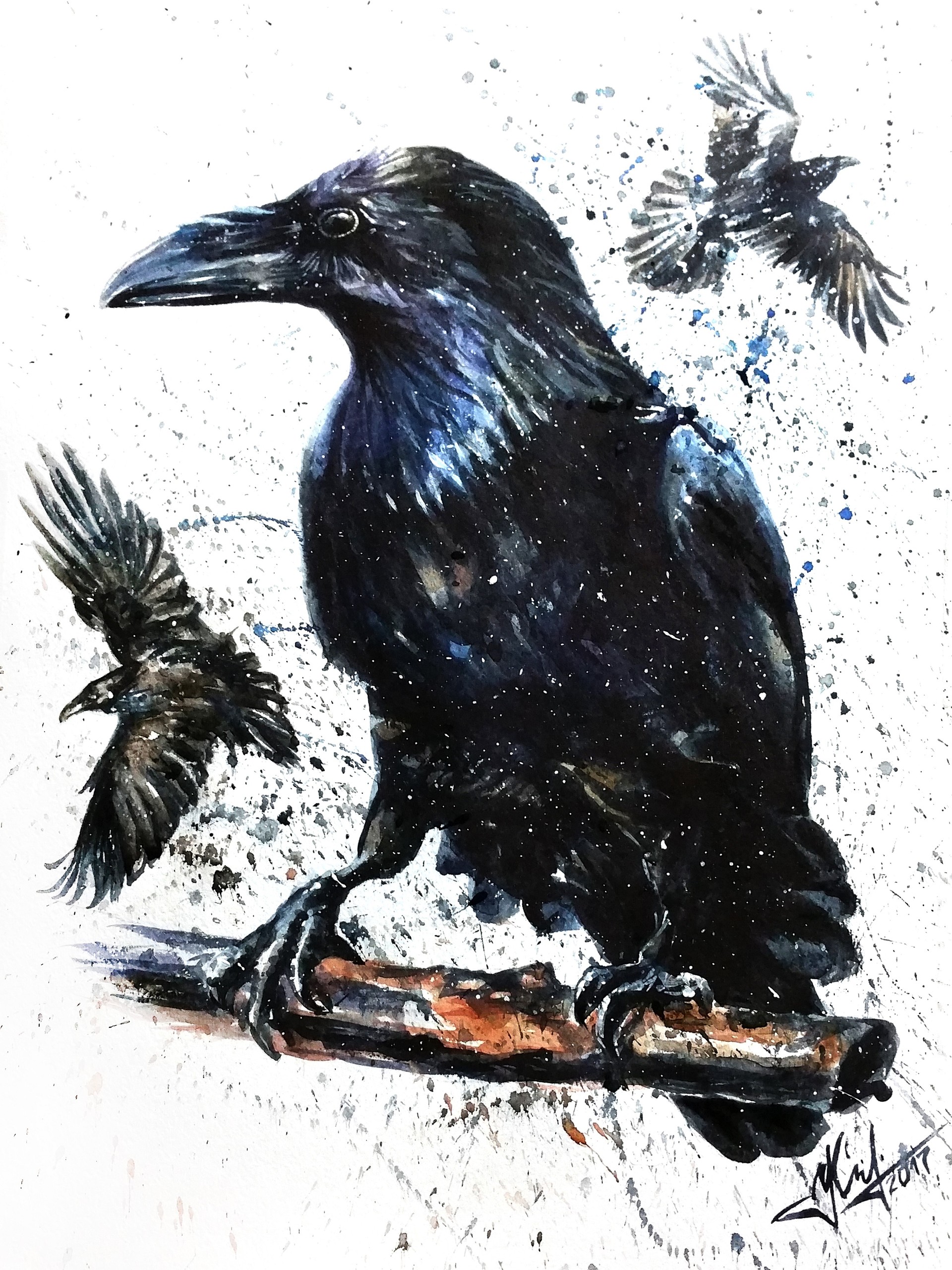 ArtStation - Raven watercolor