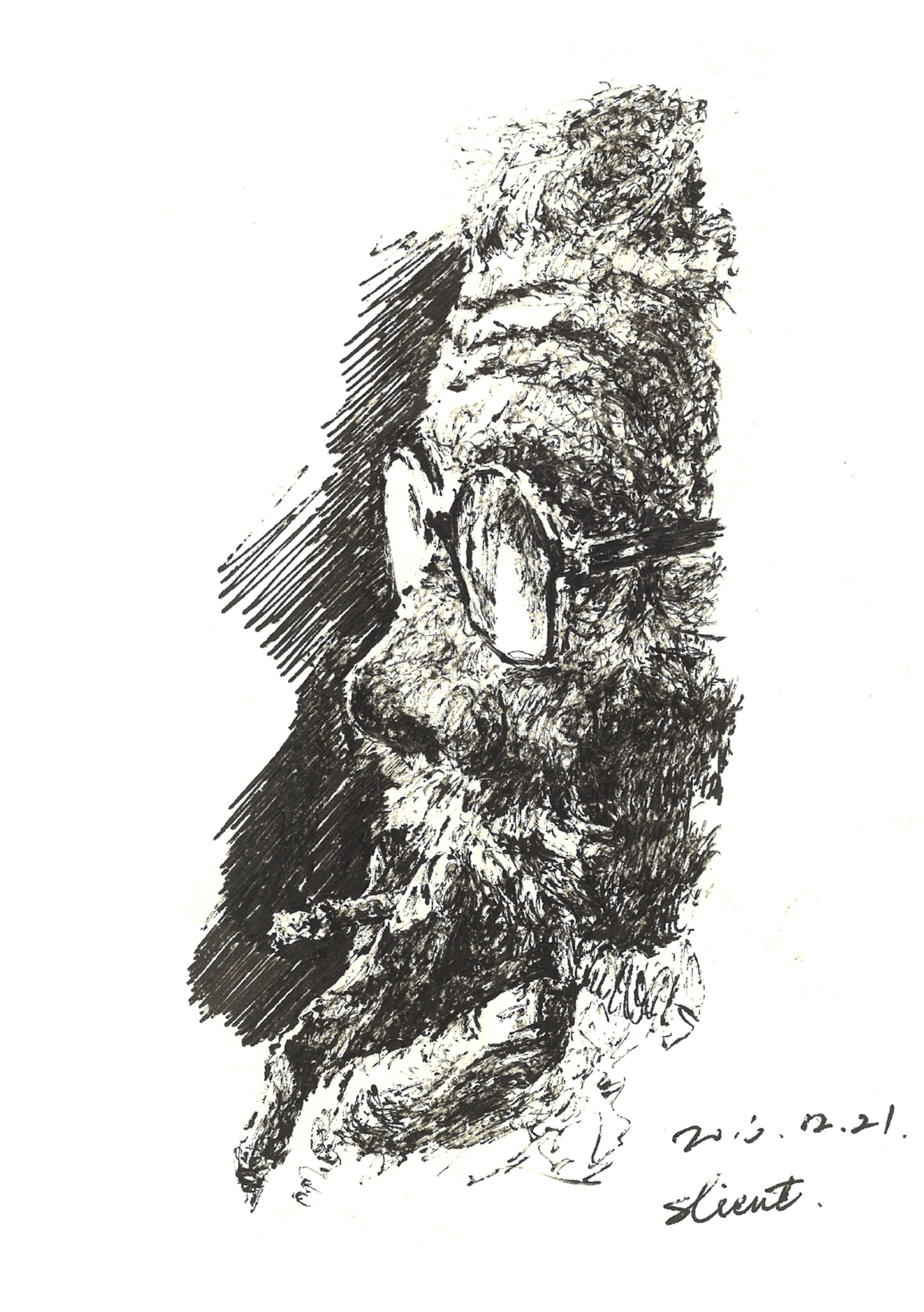 schen _cap - practice