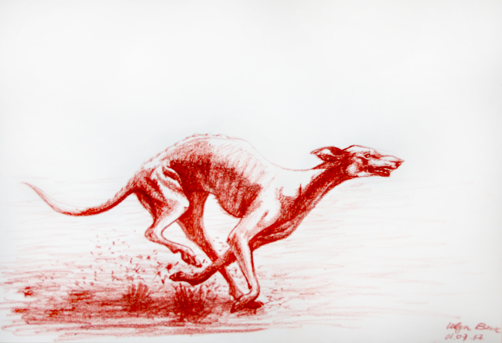 ArtStation - Racing Dog
