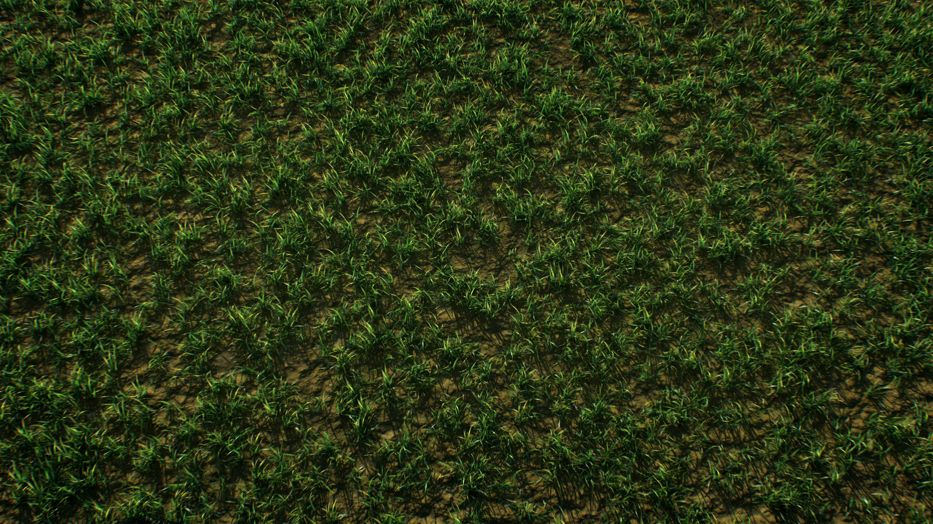 ArtStation - Grass Fields