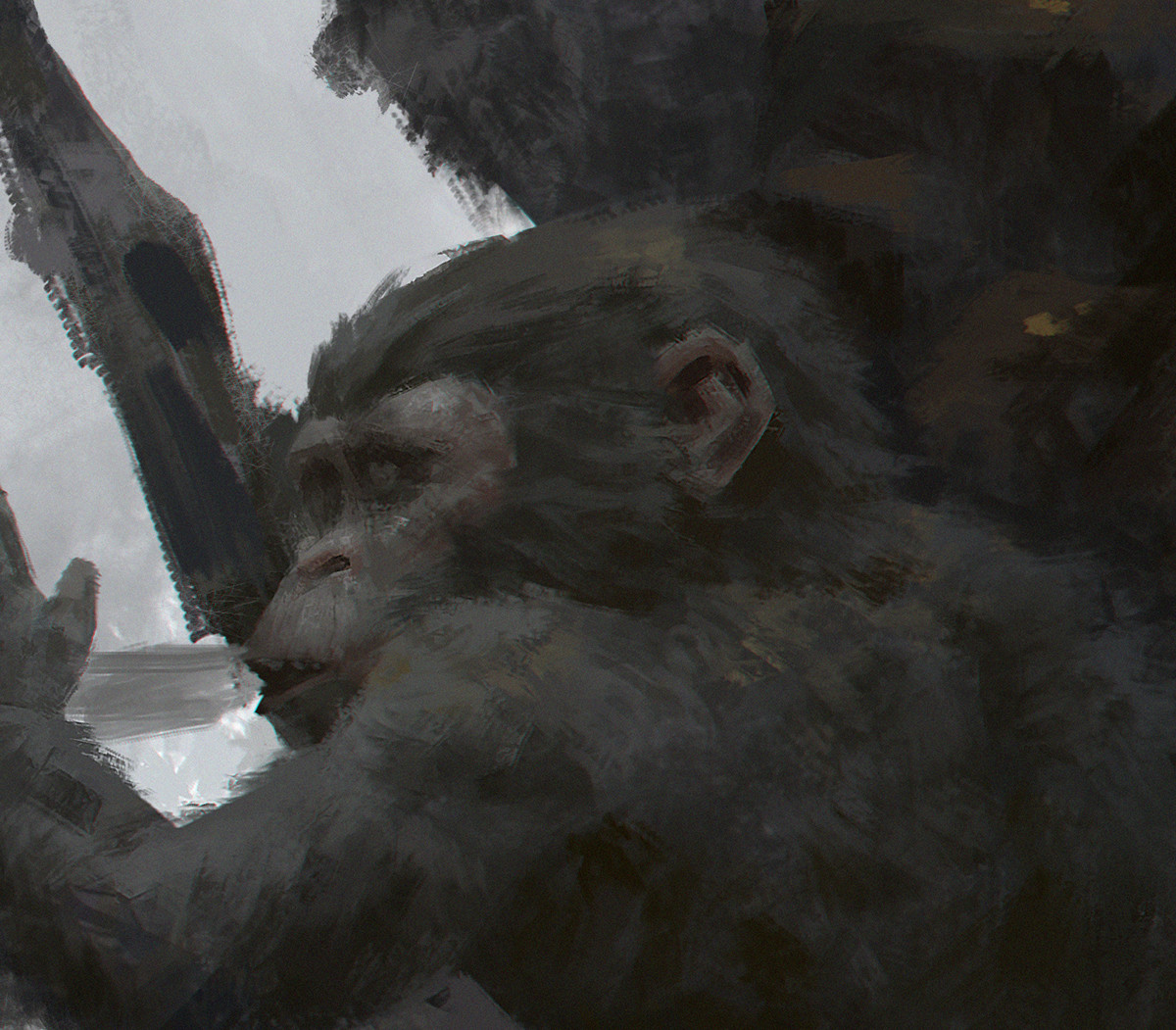 Junling Wang - monkey