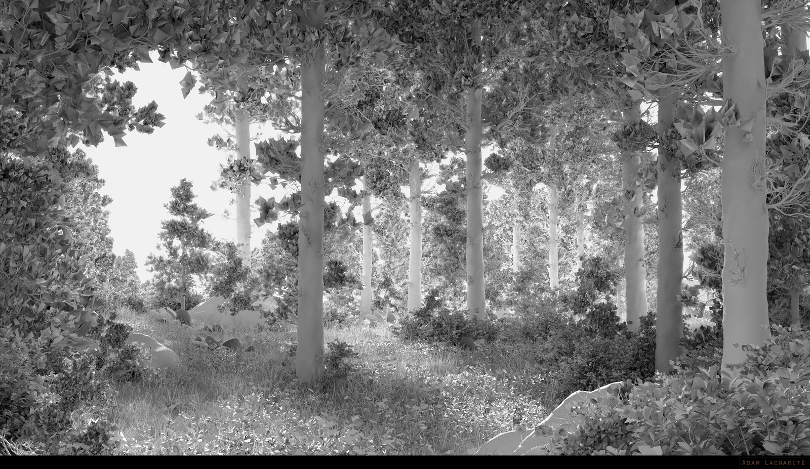 Adam Lacharité - Pine Forest