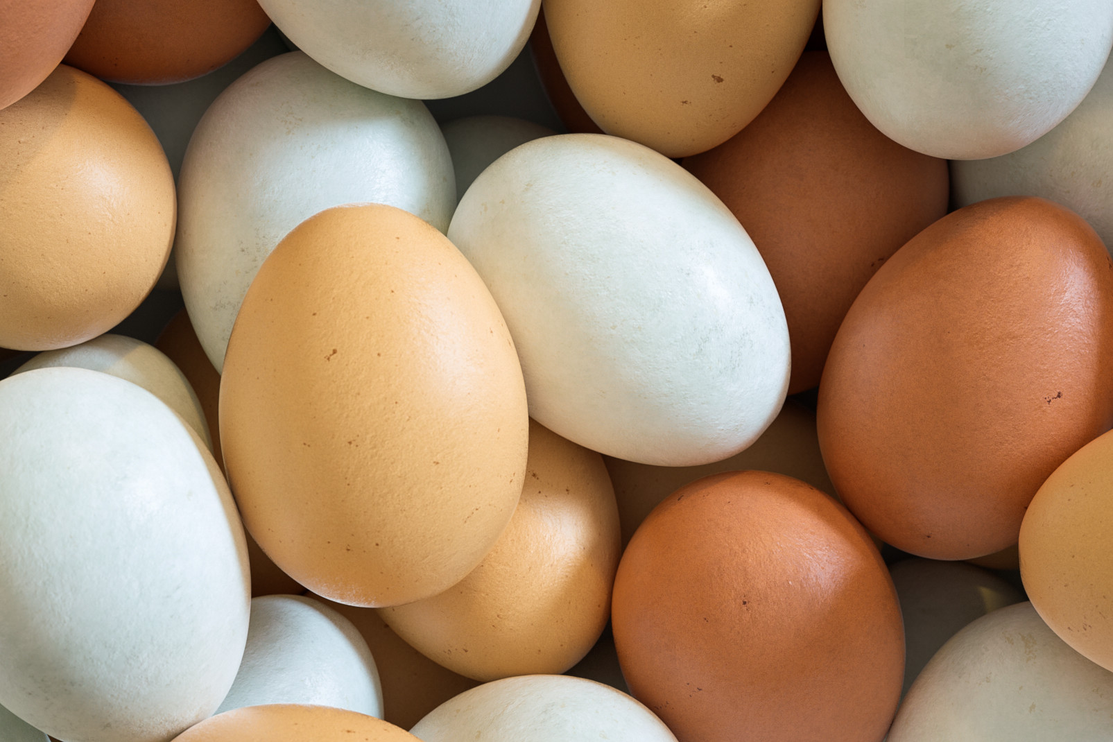 ArtStation - Eggshells