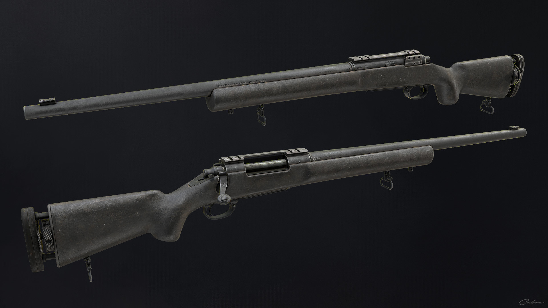 Shaun Young - M24 Sniper Weapon System