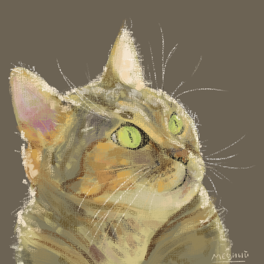 ArtStation - pop-eyed cat