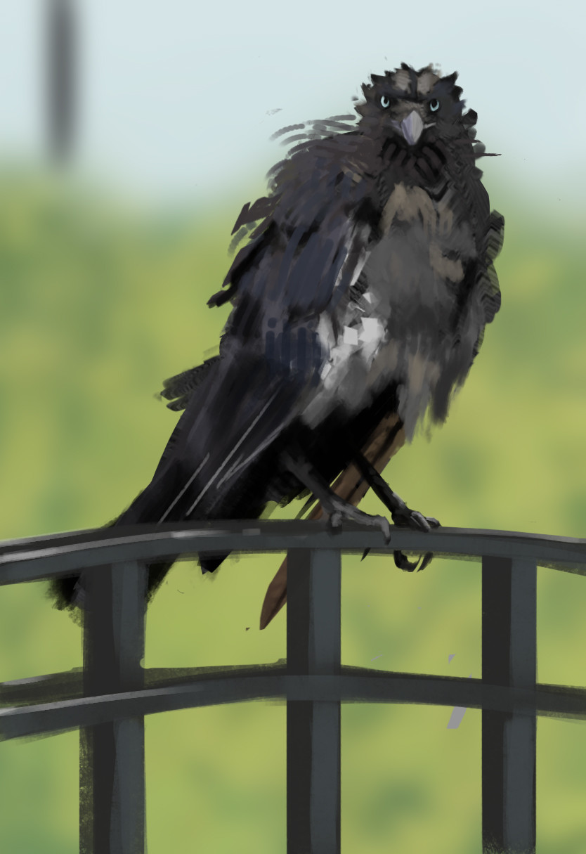 ArtStation - Jackdaw