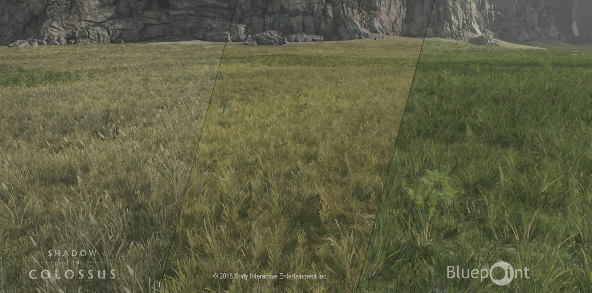 Alexis Boyer - Shadow of the Colossus: Grass