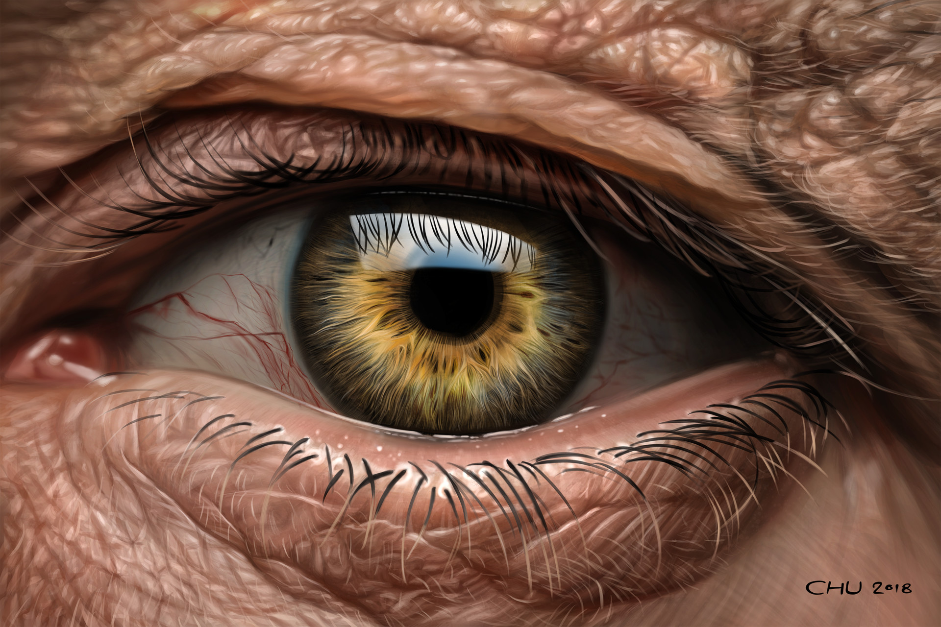 ArtStation - The Eyes