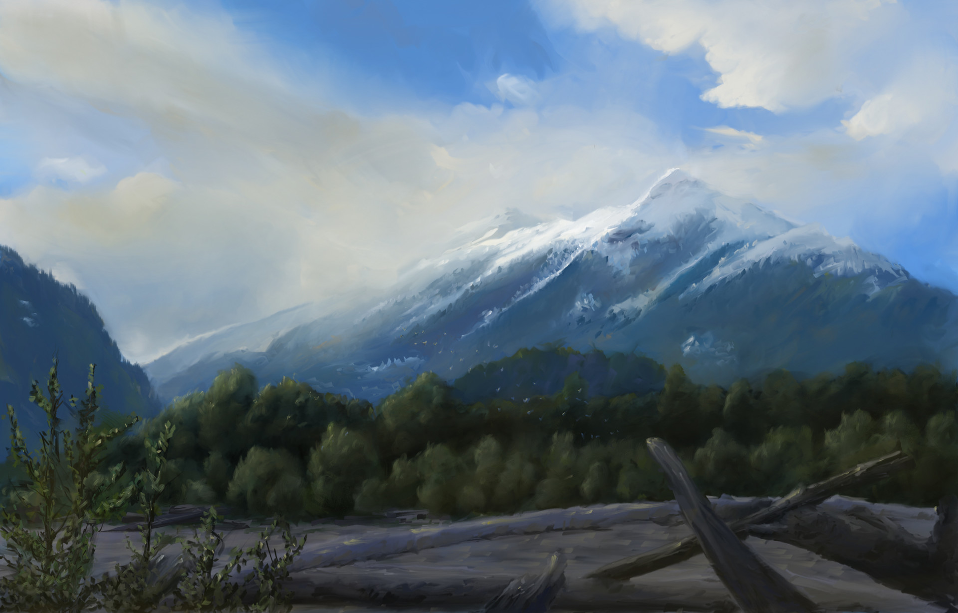 ArtStation - Anderson Beach, British Columbia