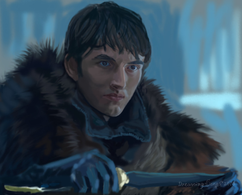 Bran Stark Art