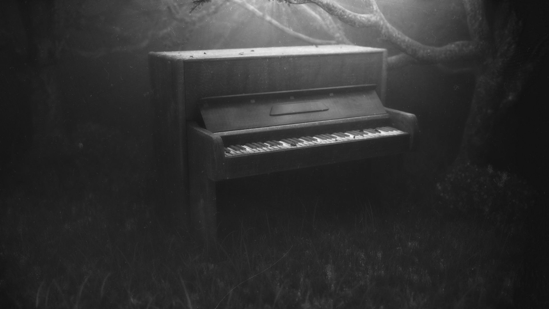 Ben Chubb - Music in the Forest