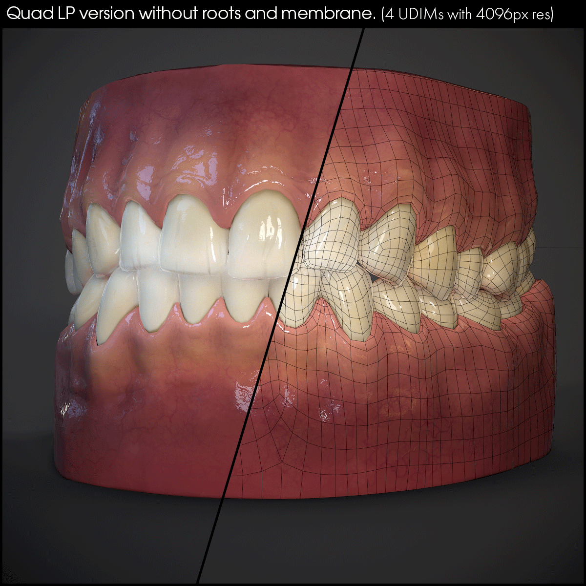 Tongue Texture 3d