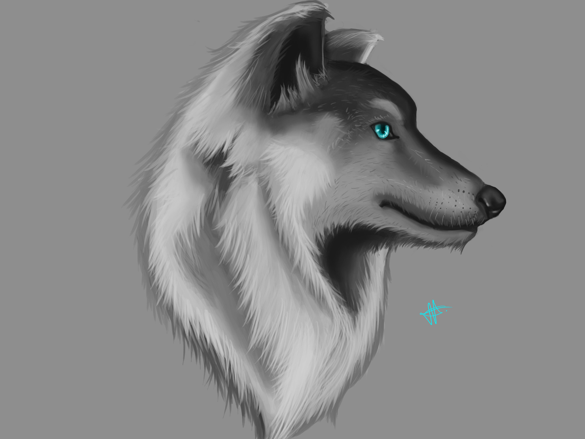 how to draw digital art wolf