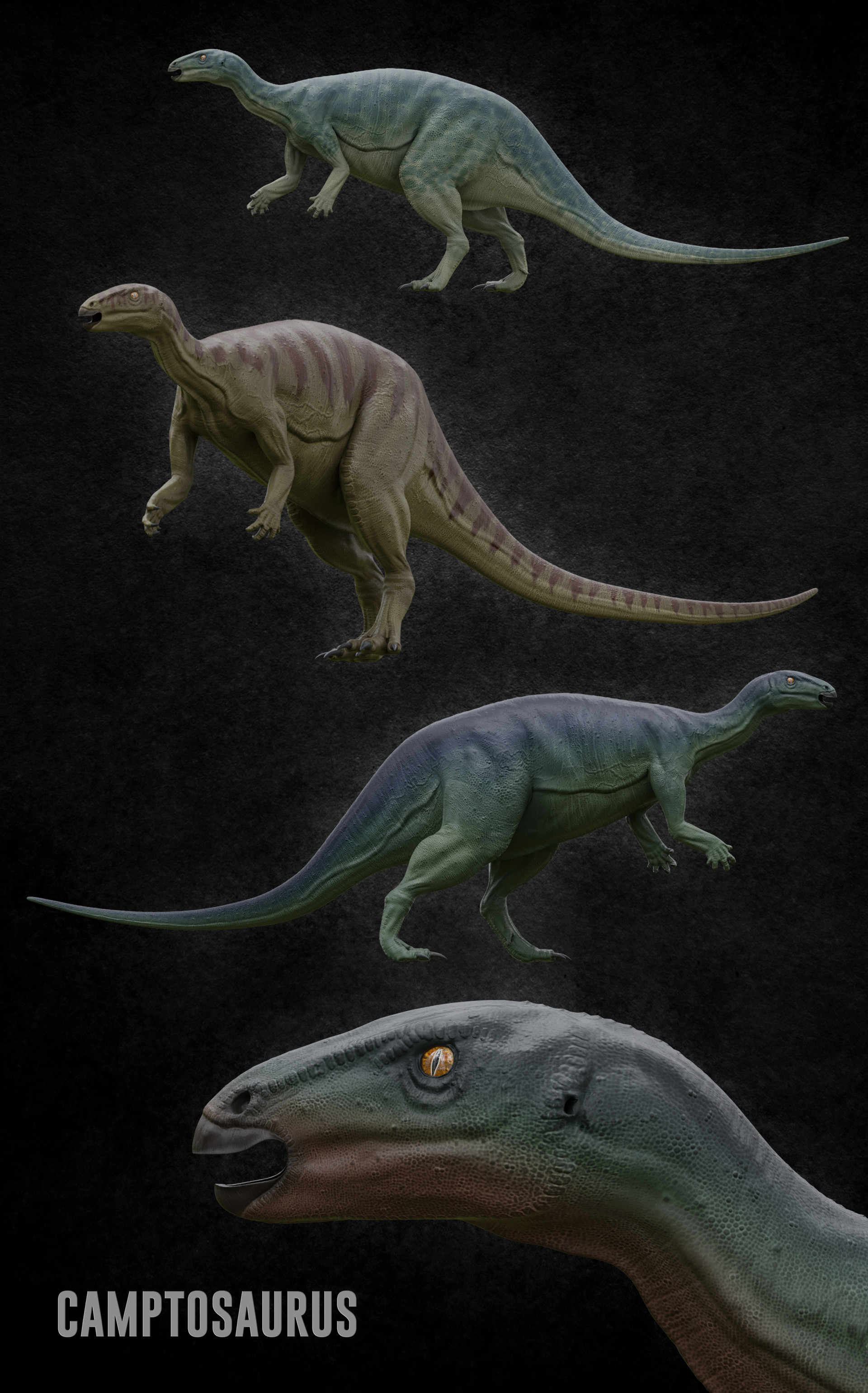 ArtStation - Camptosaurus