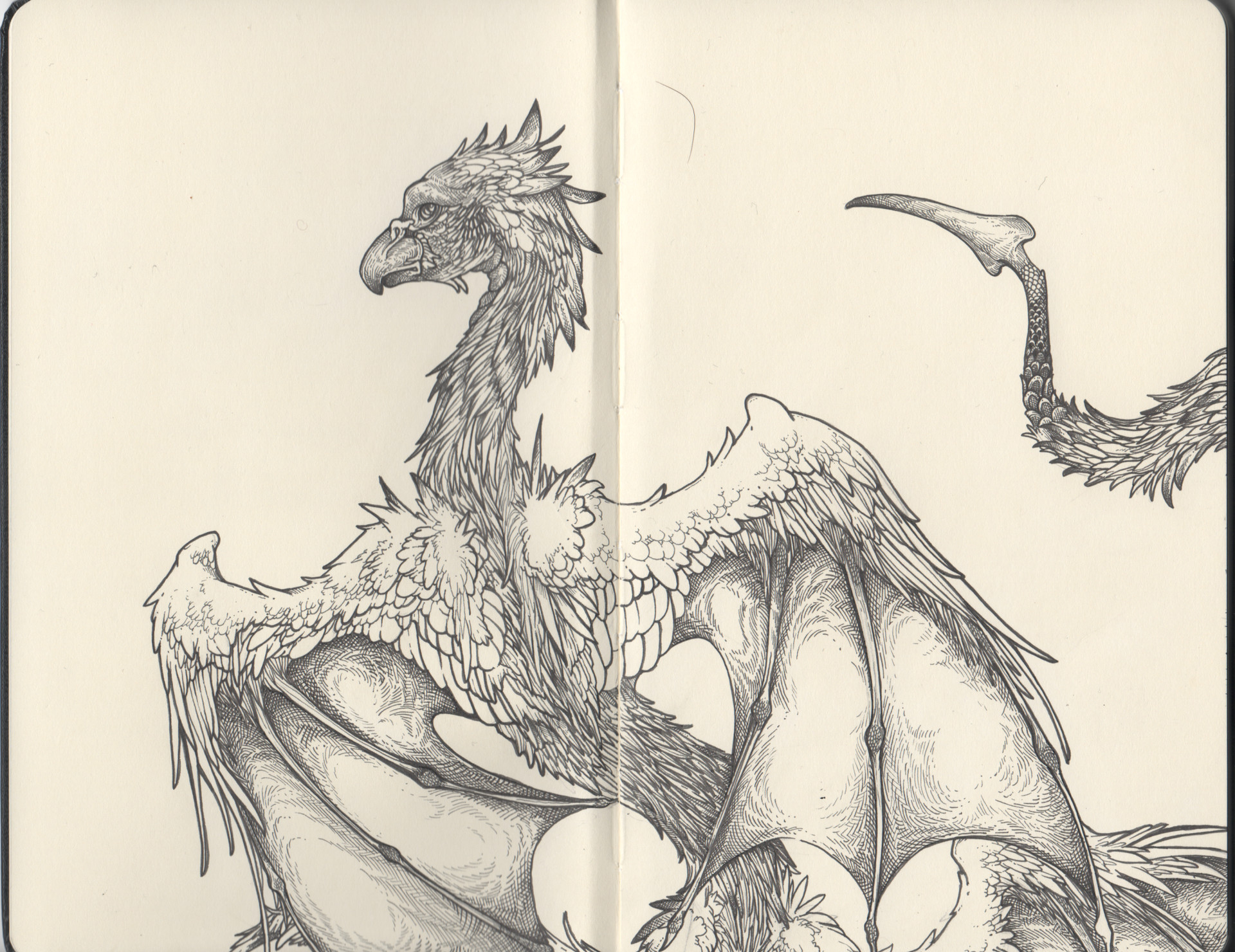 Candace Breakell - Feathers, Beak and Leathery Wings