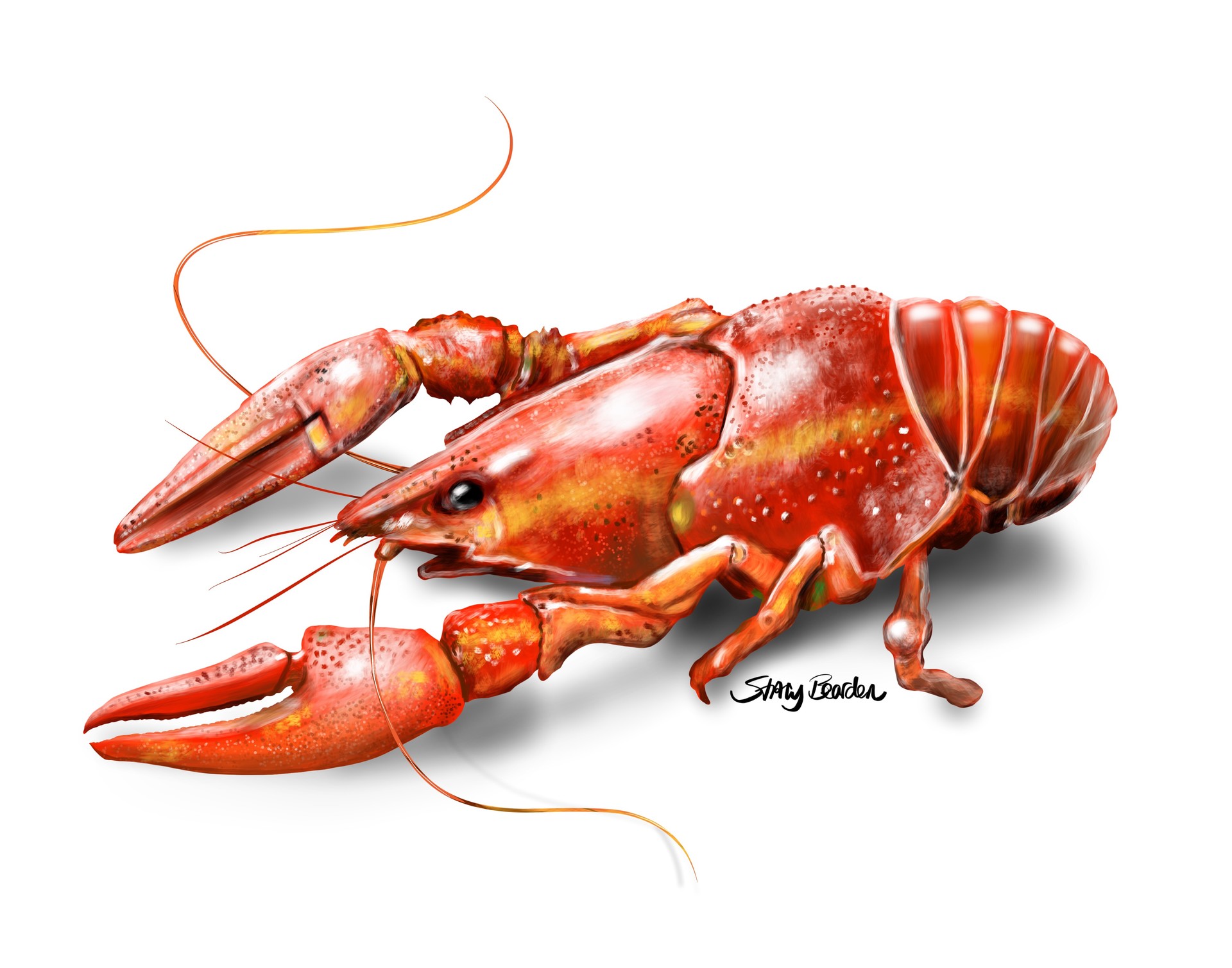 ArtStation - Crawfish