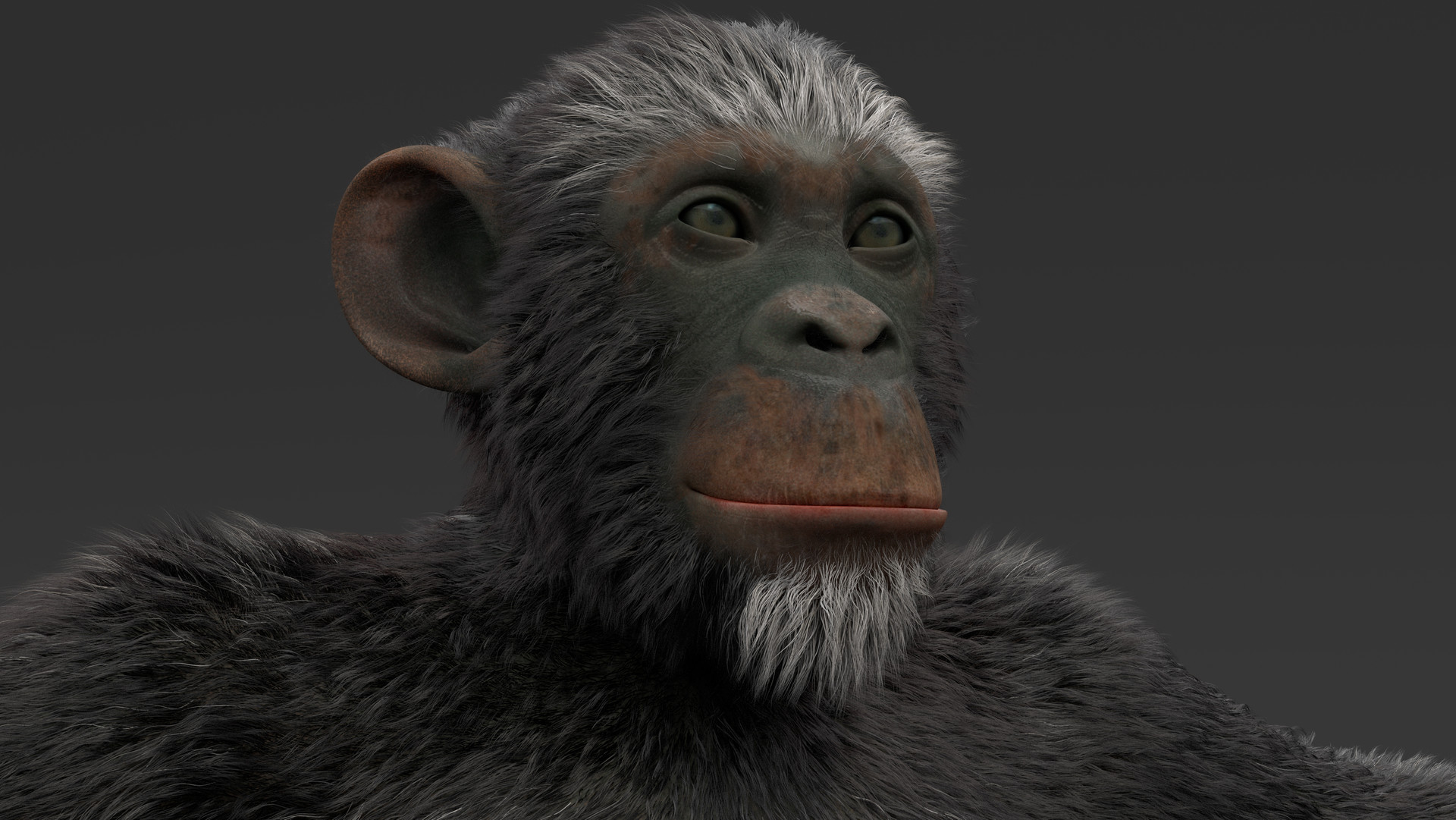 ArtStation - Chimp