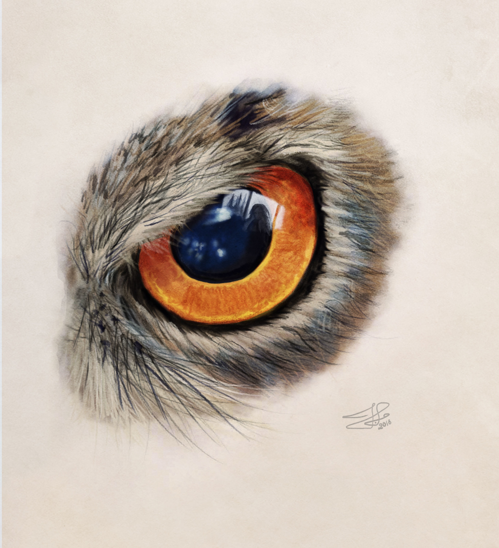 Owl Eye Drawing