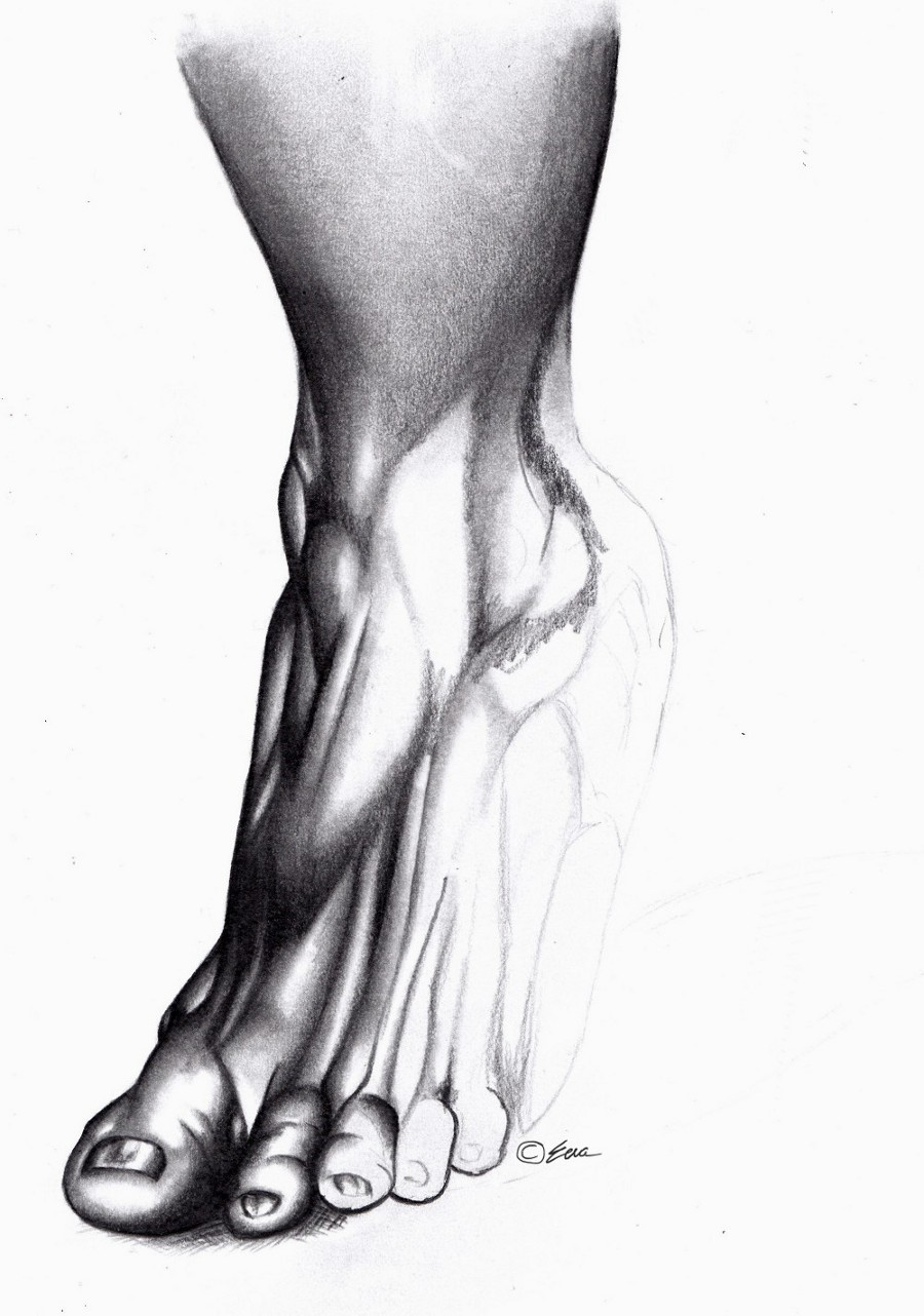 how to draw realistic body parts