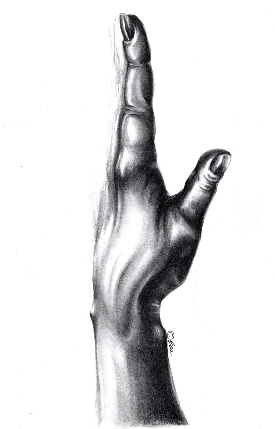 how to draw realistic body parts