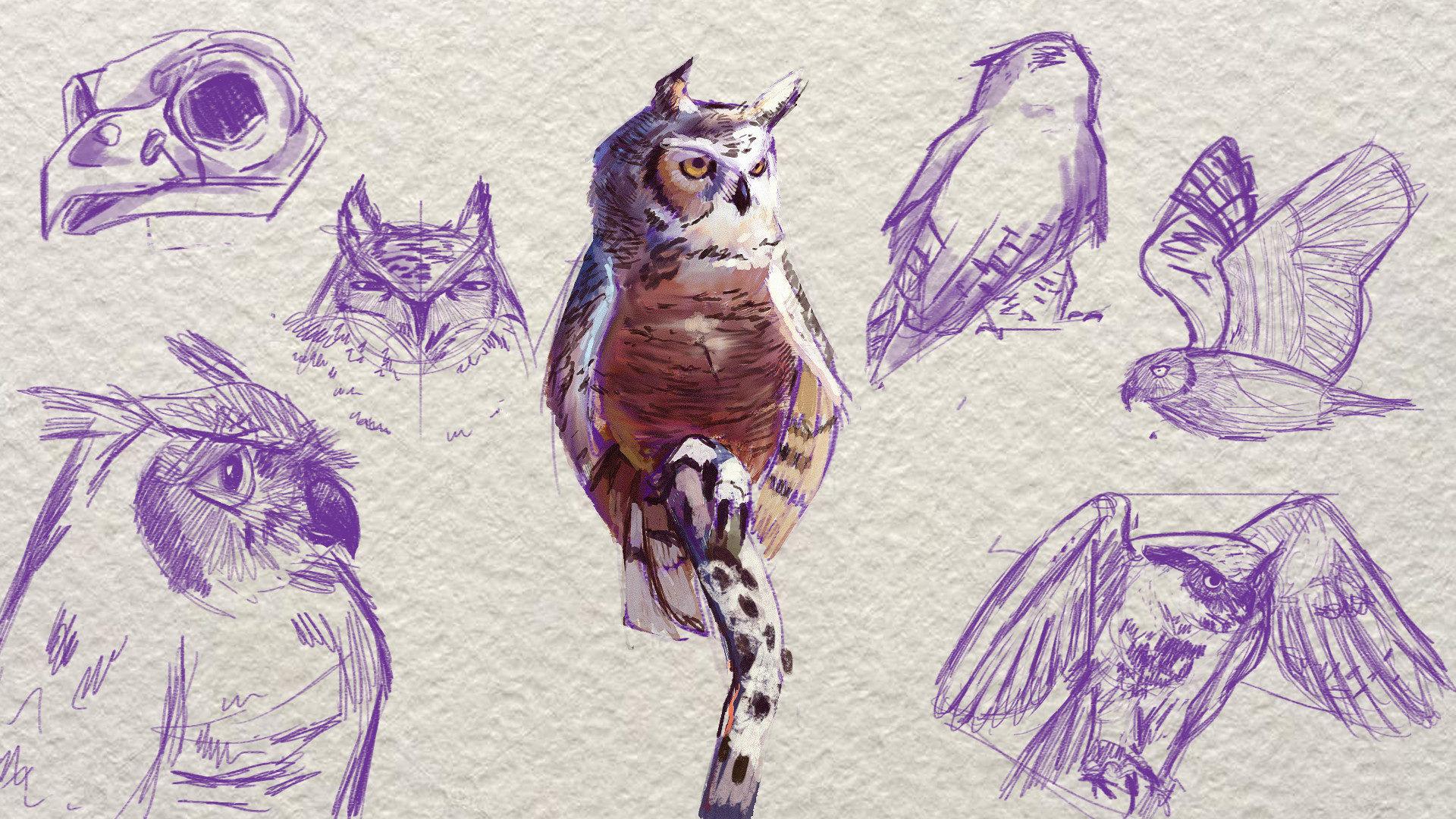 ArtStation - owl study