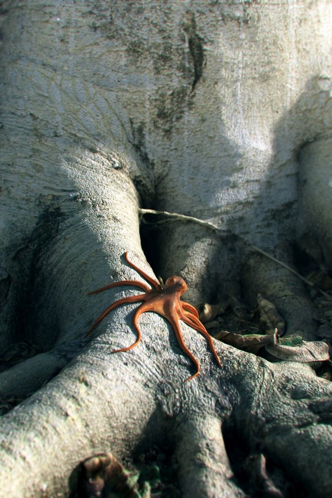 ArtStation - Squidward