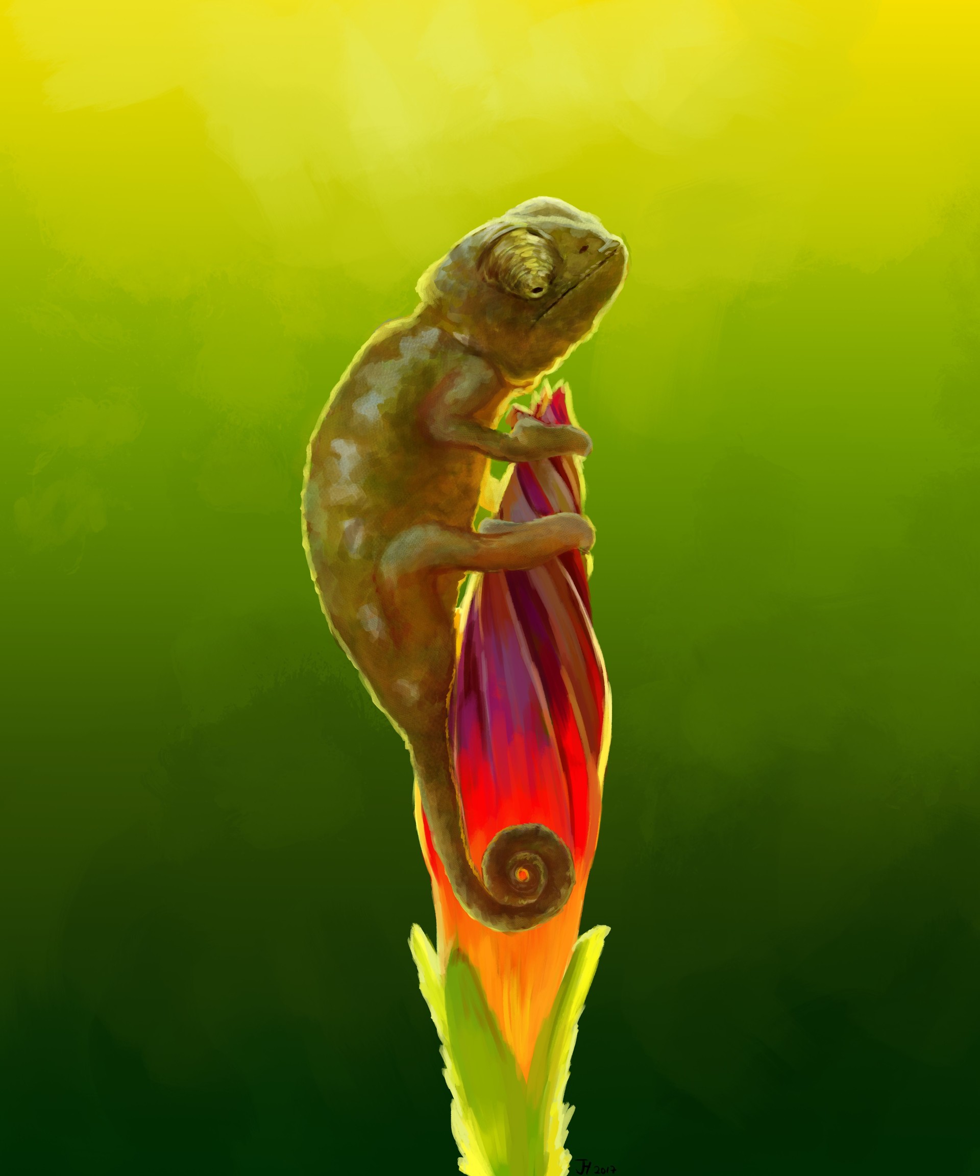 ArtStation - Chameleon Colour Study