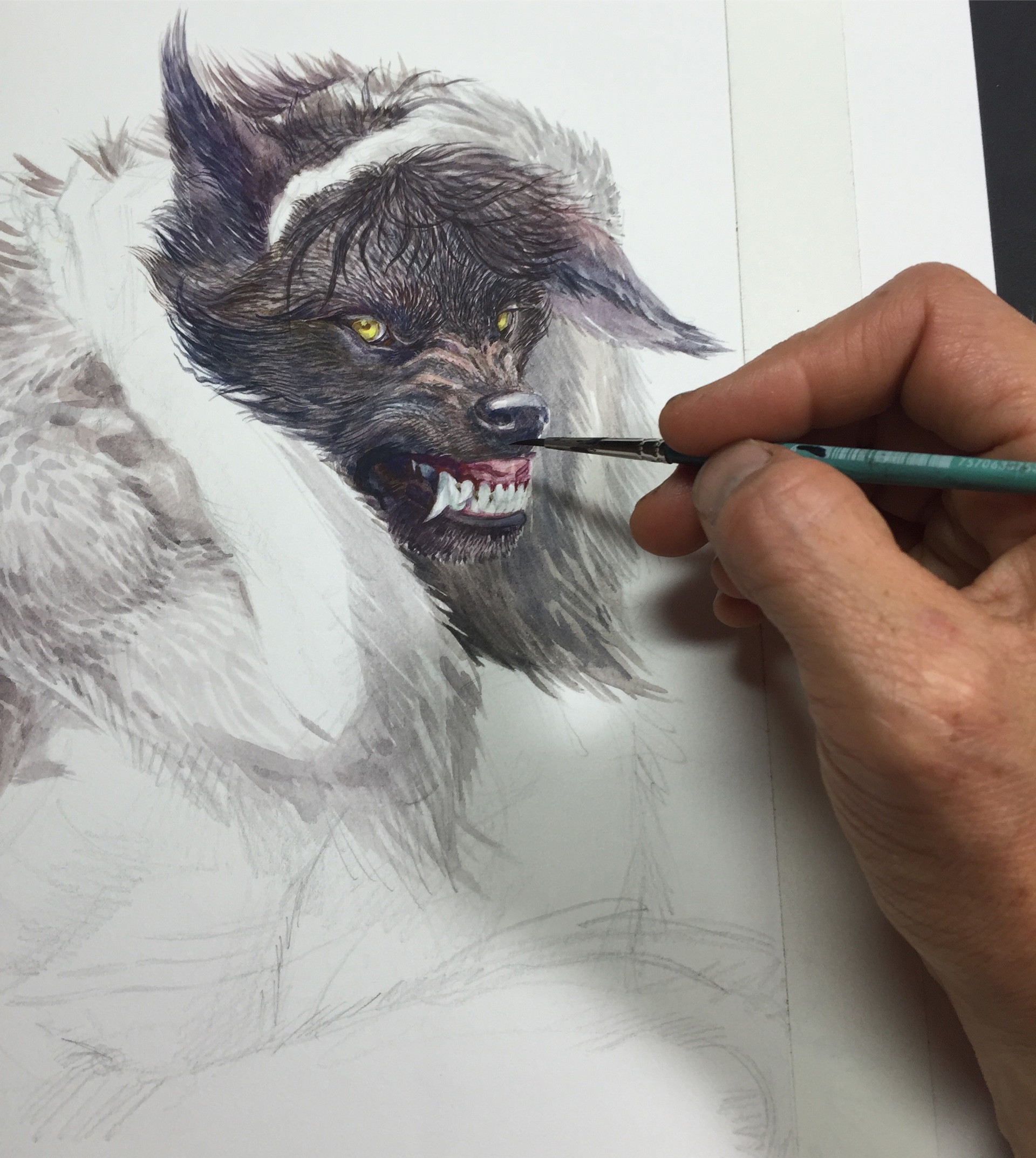 April Solomon - Gray Lycanthrope