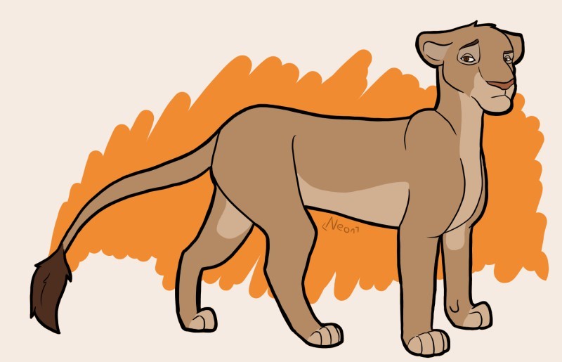 how to draw lioness body