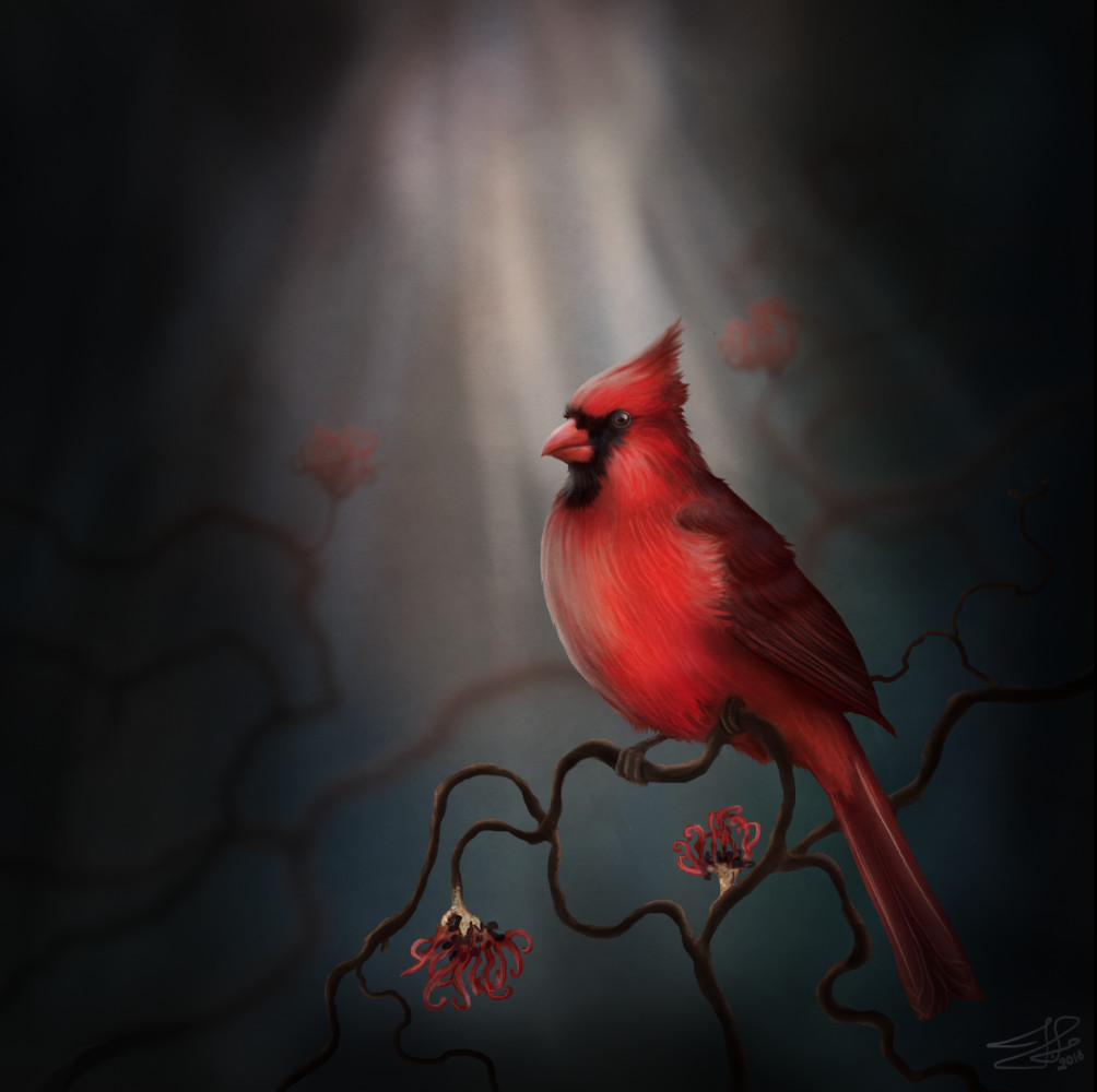 ArtStation - Cardinal