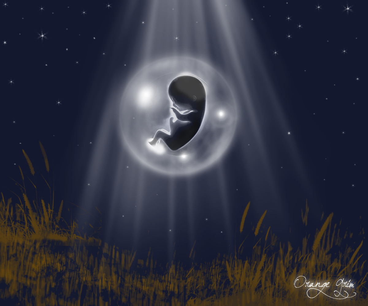 ArtStation - Alien seed