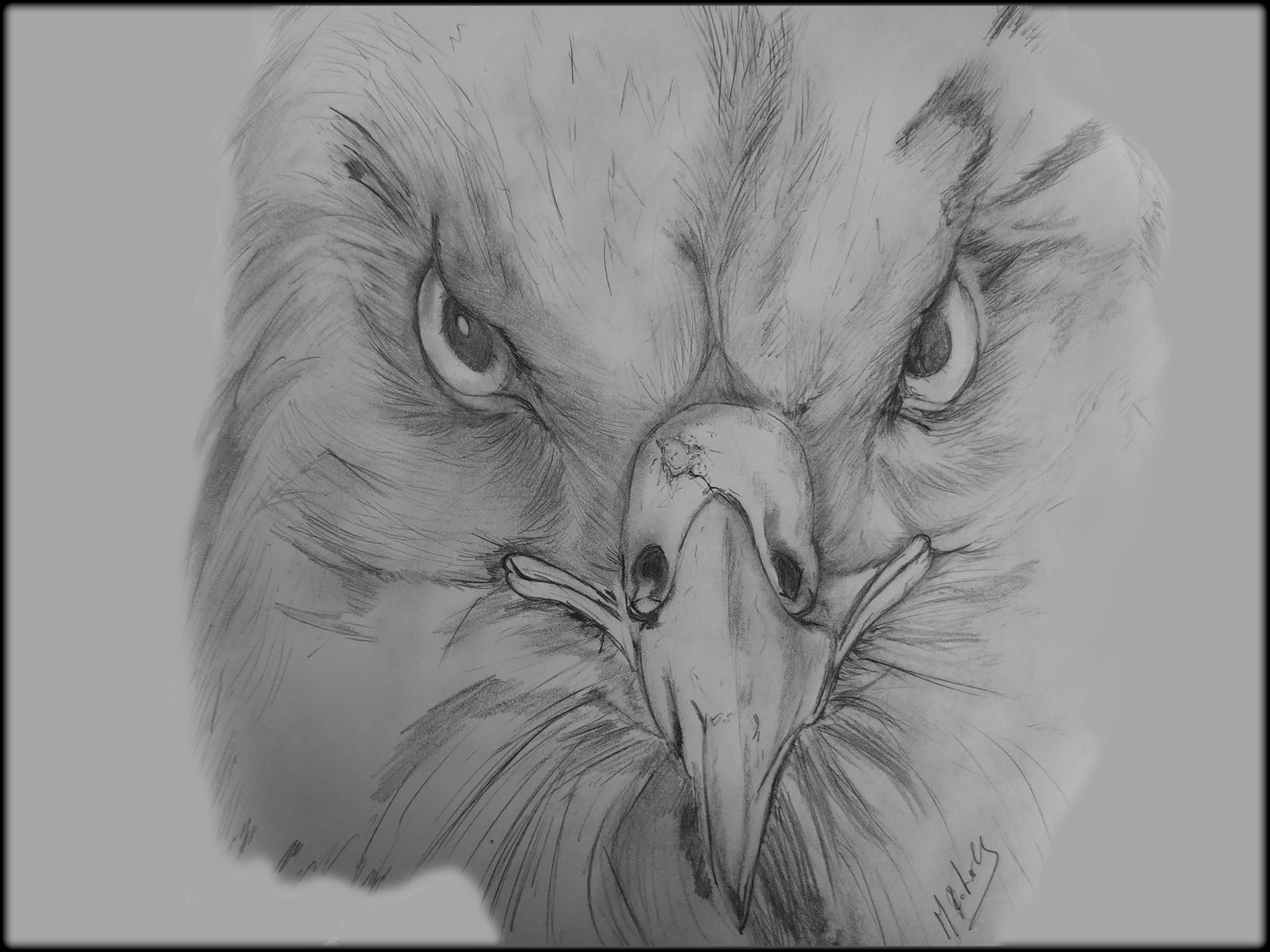 Matthew Roberts - Latest