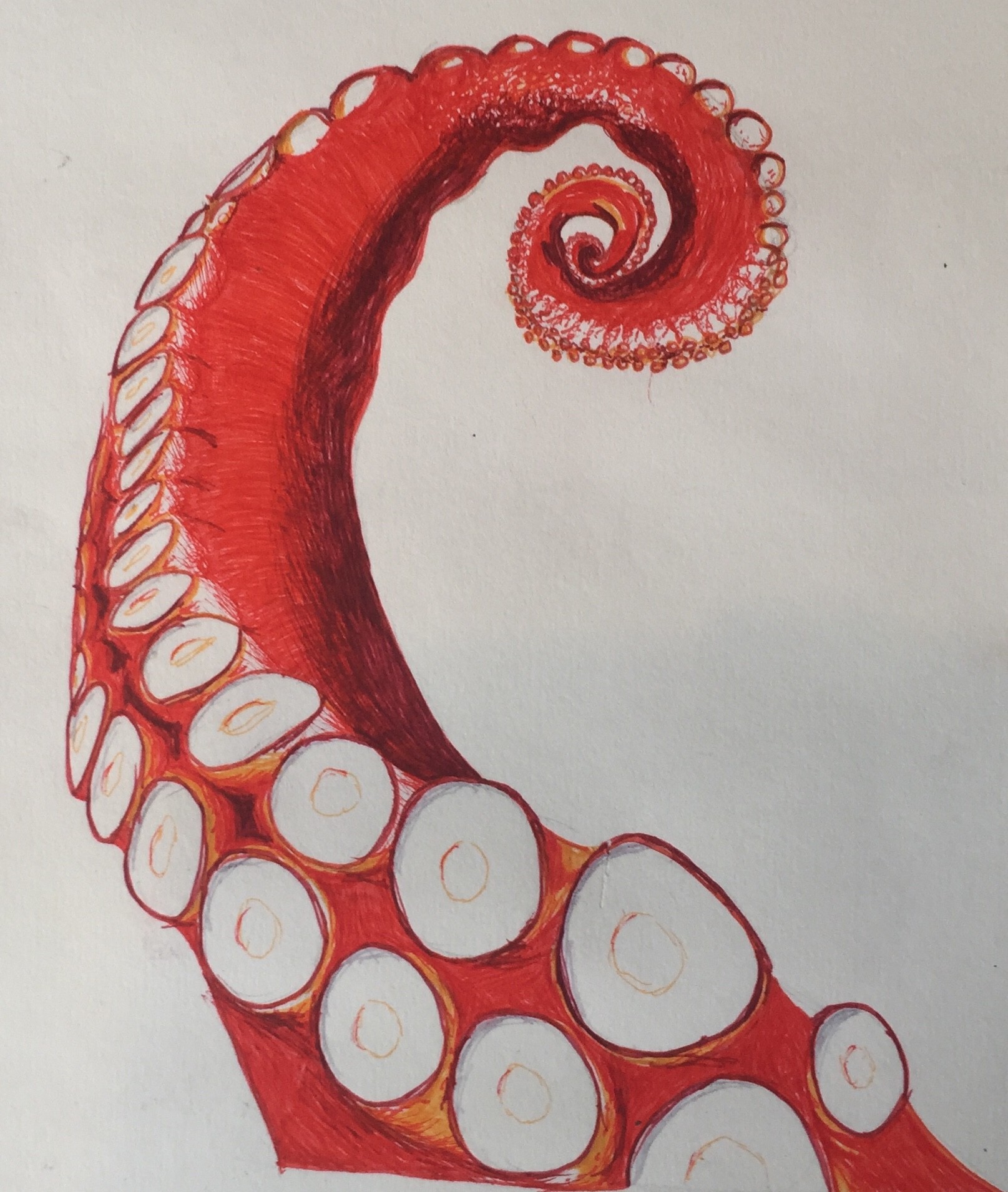 Tentacles Drawing